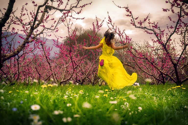 Οι ανθισμένες ροδακινιές της Βέροιας photo - Happy Traveller